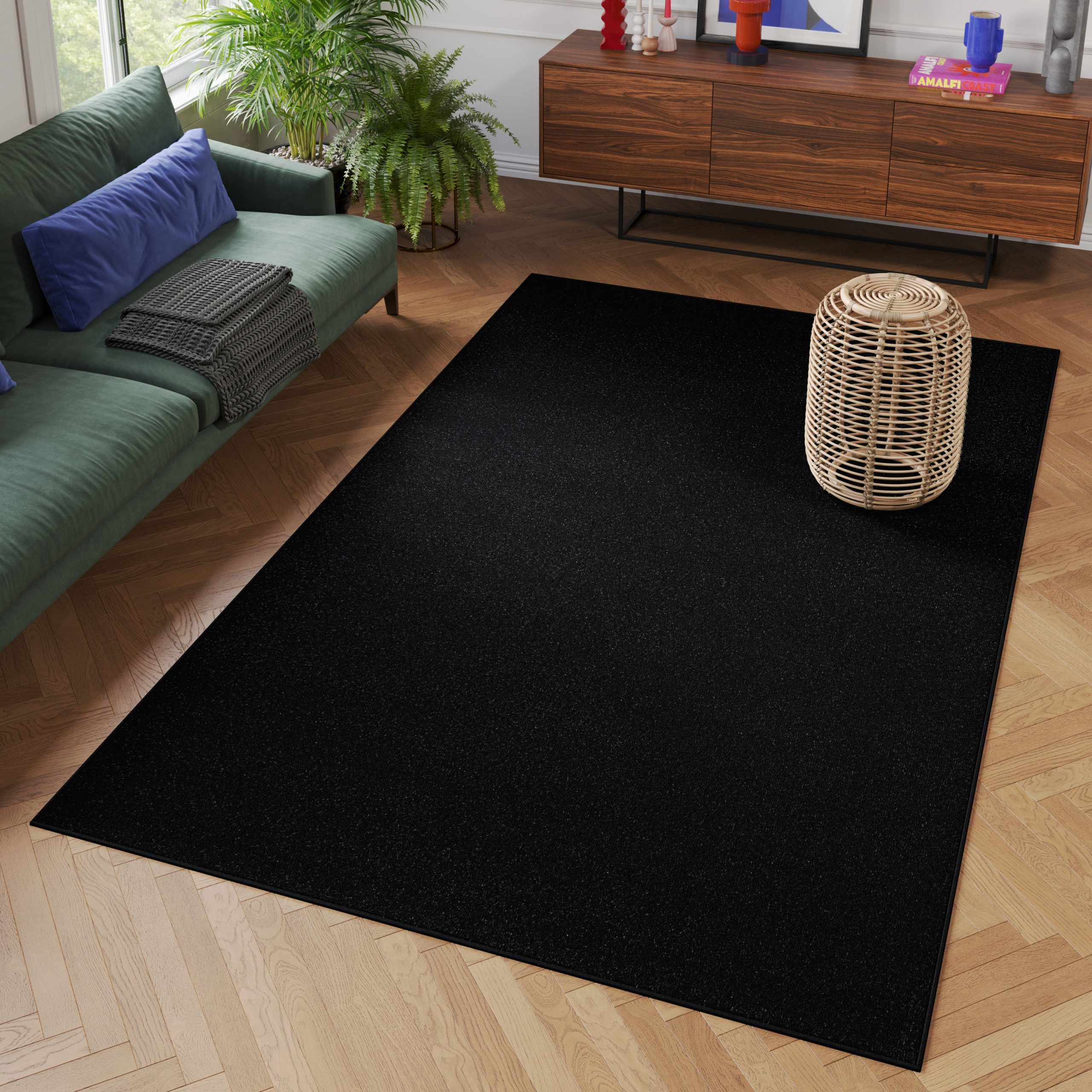 Area Rug Mono Indoor Outdoor Black - Tapiso
